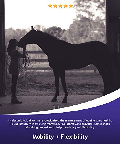Hyalogic Hyaluronic Acid Gel for Horses Orally Administered with Syringe for Equine Joint & Cartilage Support - Hyalun Pro Gel - 1 oz / 30 ml (3 Full doses) - Pre- and Post-Event Booster