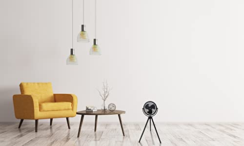 HUNTER 90646 Metal Tripod Fan, Adjustable Tilt, 3 Speeds, 12", Matte Black Finish