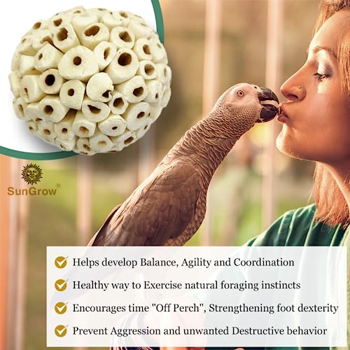 SunGrow Sola Atta Foraging Balls, 2β, White Soft Shred Parrot Chews, Bird Chewing Accessories for Conure, Budgie, Parakeet, Cockatiel, Rabbits, Hamsters, and Other Small Pets, 3 Pcs/Pack