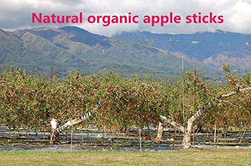 sharllen 100g (3.5oz) Apple Sticks Pet Snacks Chew Toys for Guinea Pigs Chinchilla Squirrel Rabbits Hamster