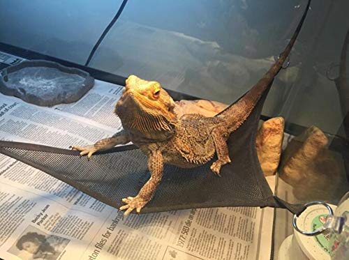 Yamadura Reptile Hammock Lounger & Ladder Accessories Set for Large & Small Bearded Dragons Anole Geckos Lizards or Snakes (Triangle, 19×13×13 inch, 2 Pack)