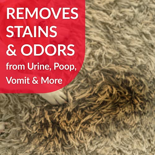 Simple Green Advanced Dog Stain & Odor Remover - Bacteria & Enzyme Cleaner for Large Dogs - Stain Remover for Carpet & Fabric β eliminates Urine Odor (32 oz Sprayer)