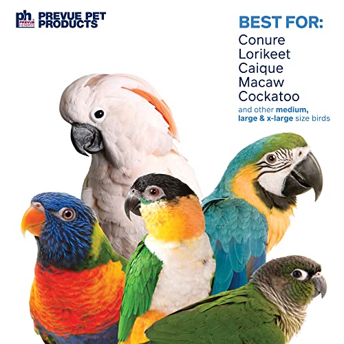 Prevue Pet Products 62607 Calypso Creations Dagwood Bird Toy, Multicolor