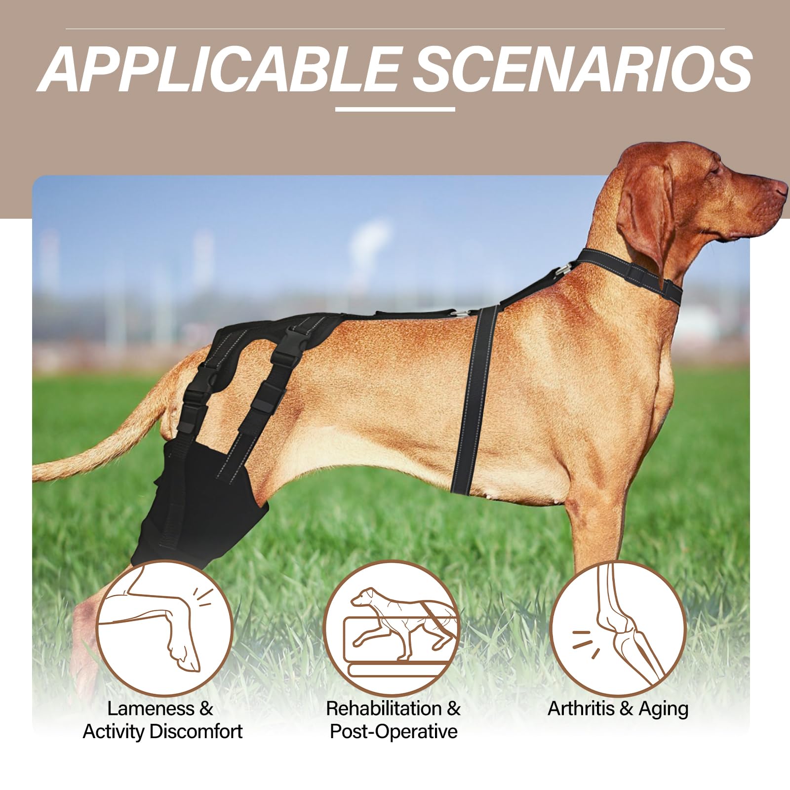 Dog Knee Brace with Side Stabilizers - Support for Dog ACL CCL Cruciate Ligament Injury Joint Pain and Muscle Sore(Size XXL