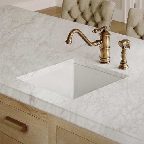 Whitehaus Collection WHUF1818 Undermount/Drop-in Fireclay Kitchen Sinks, Stainless Steel Grid Included