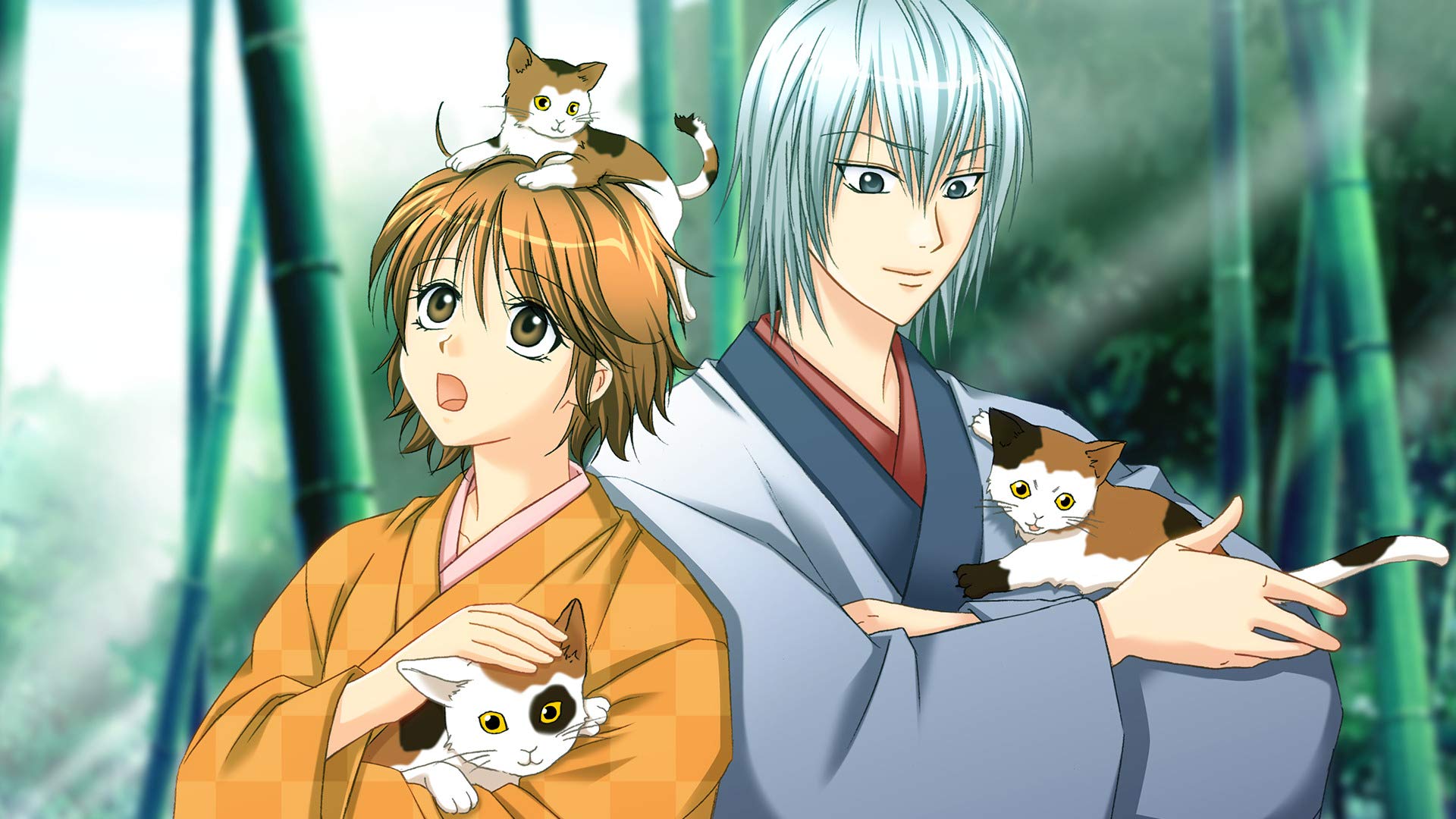 Bakumatsu Renka Shinsengumi: Jinchuu Houkoku no Shi (English)