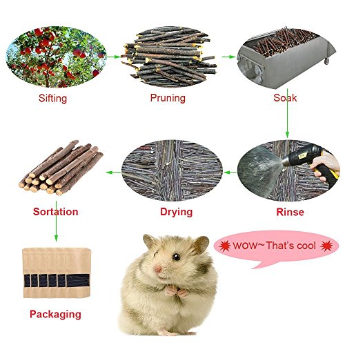 sharllen 100g (3.5oz) Apple Sticks Pet Snacks Chew Toys for Guinea Pigs Chinchilla Squirrel Rabbits Hamster