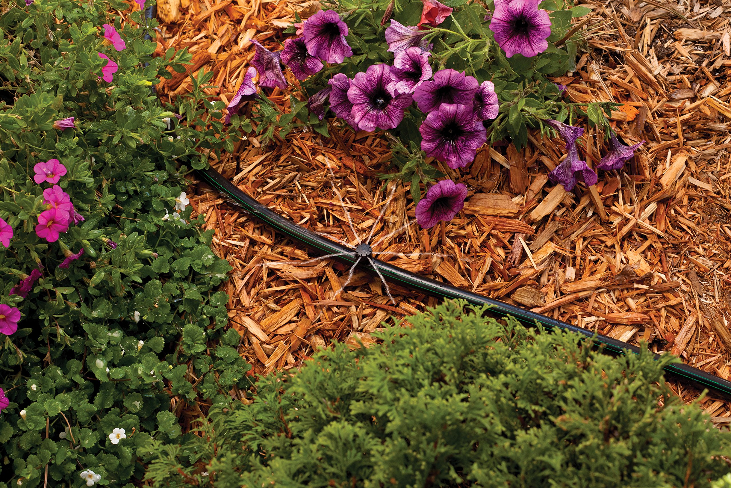 Rain Bird MBUB-F/2S Drip Irrigation 10-32 Threaded Micro-Bubbler, 360° Full Circle Pattern, 2-Pack