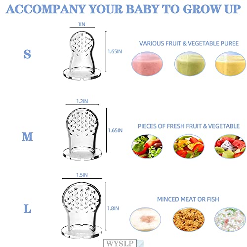 Baby Fruit Feeder Silicone Food Pacifier | Infant Teething Relief Toy Teether | Milk Frozen Mesh Feeders | Safely Self Feeding Teethers for Babies 0-6-12-18 Months Boys and Girls,SkyBlue