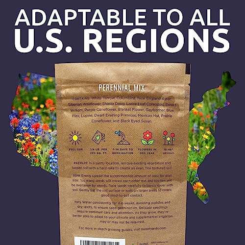 Perennial Wildflower Seeds Mixture - Bulk 1/4 Pound Bag - Over 60,000 Pure Live Seed - Open Pollinated and Non GMO