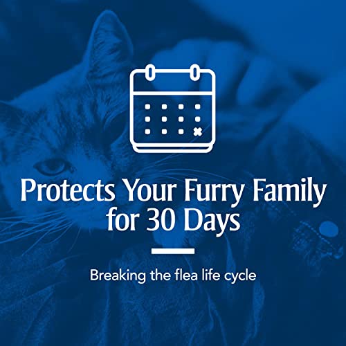 PetArmor Plus for Cats, Flea & Tick Prevention for Cats (Over 1.5 lb), Includes 6 Month Supply of Topical Flea Treatments, white, 6 count