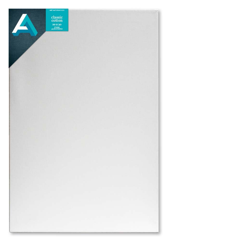 Art Altrn Studio Stretched Canvas 20x30