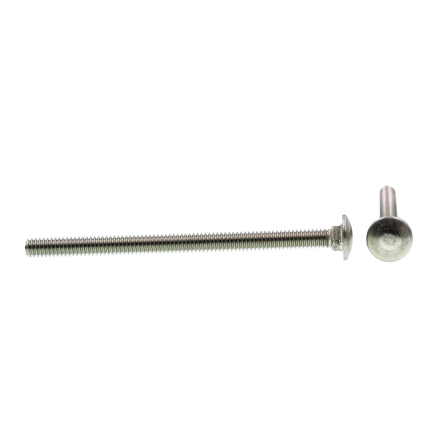 Prime-Line 9062545 Carriage Bolts, 1/4 In.-20 X 4 In., Grade 18-8 Stainless Steel (15 Pack)