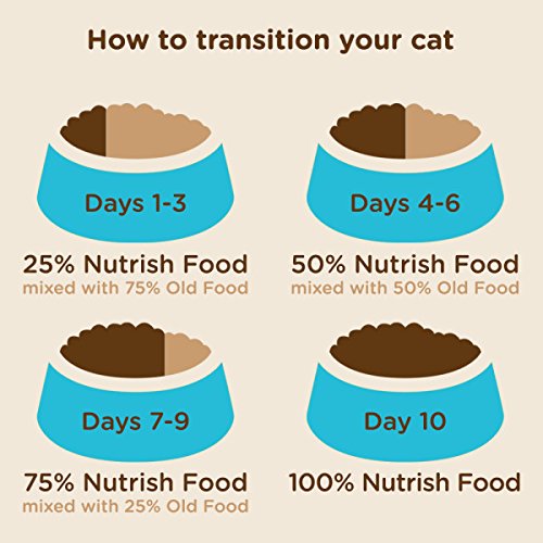Rachael Ray Nutrish Premium Natural Dry Cat Food, Chicken & Brown Rice Recipe, 3 Pounds