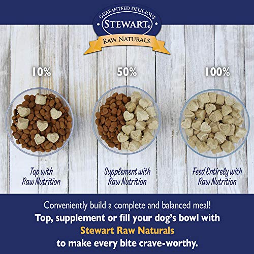 Raw Naturals by Stewart Freeze Dried Dog Food in Resealable Pouch, 12-Ounce, Chicken