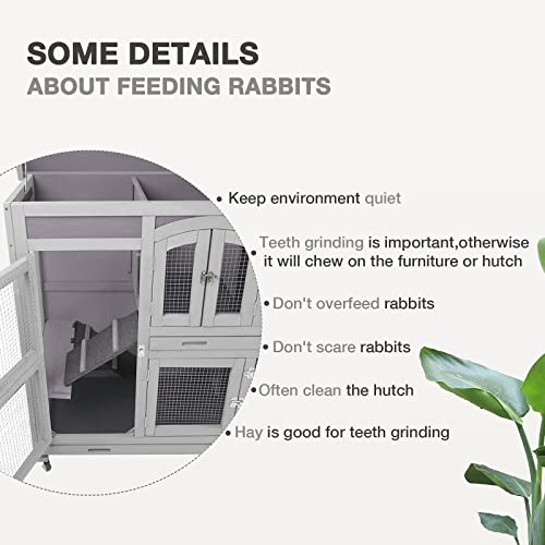 MEDEHOO Two-Story Rabbit Hutch with Wheels Guinea Pig Cage Indoor Outdoor Bunny Cage with 2 Deep Leakproof Tray