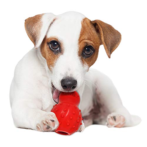 Nylabone Chew & Treat Toy for Dogs - Interactive Dog Enrichment Chew & Treat Toys