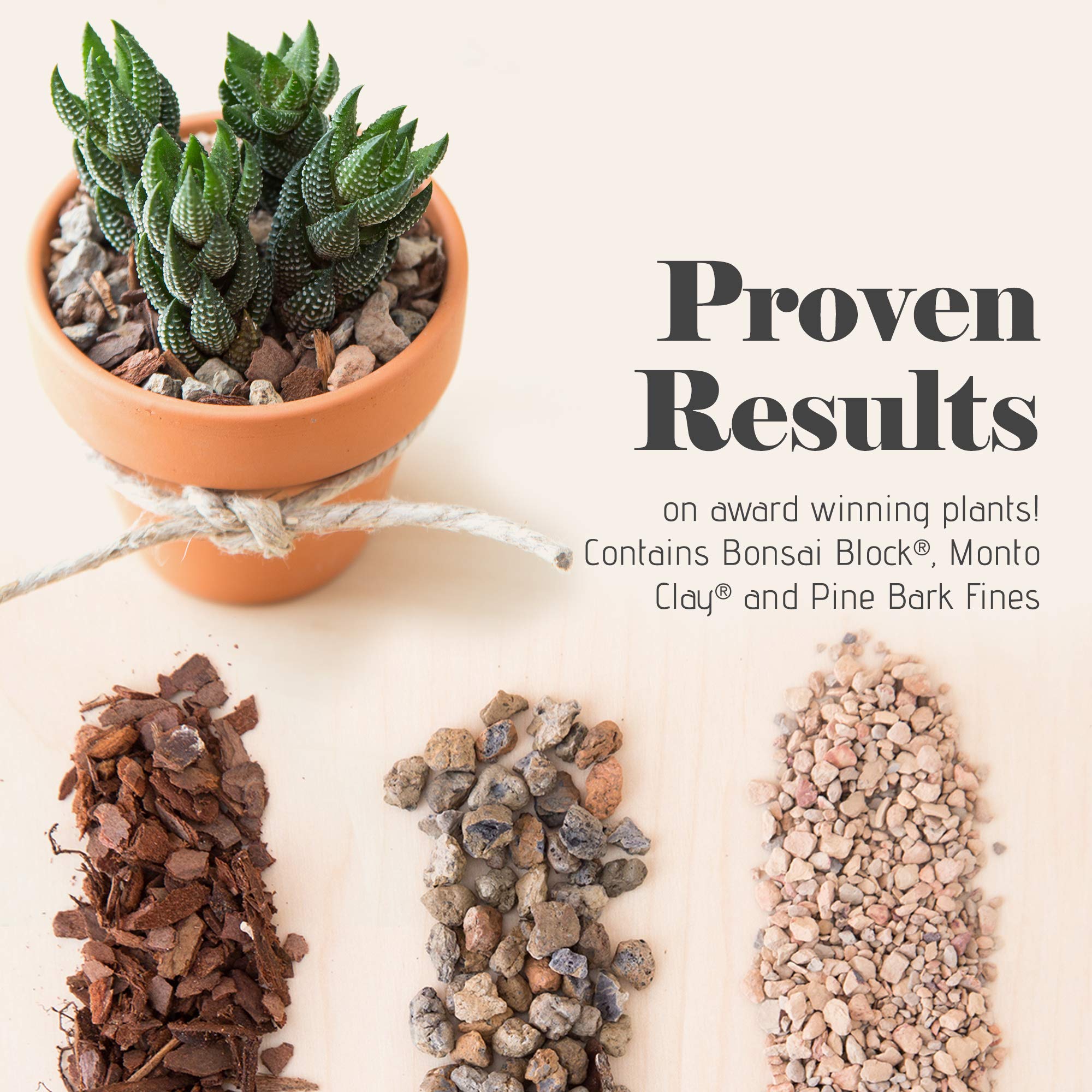 Bonsai Succulent and Cactus Soil - Jacks Gritty Mix #111 - Fast Draining β Fights Root Rot β Optimized pH (1/2 Gallon / 2 Dry Quarts)