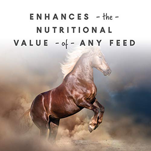 Manna Pro Sho-Glo Supplement for Horses | Complete Vitamin & Mineral Supplement for Healthy Skin & Coat | 5 Pounds