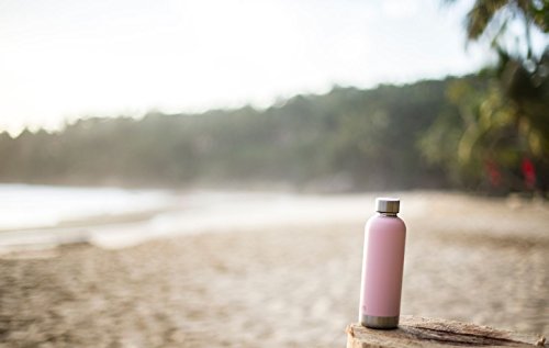 Simple Modern 17oz Bolt Sports Water Bottle - Stainless Steel - Double Wall Vacuum Insulated - Leak Proof Bottle Pattern: Ocean Quartz (Wave Water Bottle)