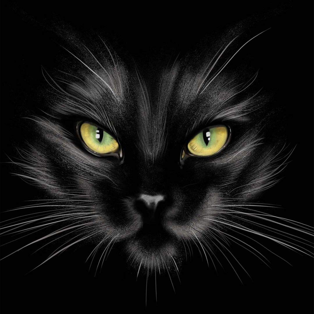 Erosebridal Animal Duvet Cover King Size Pet Cat Comforter Set Black Cat with Yellow Eyes Printed Bedding Set for Girls Boys, Bed Decor 3 Pcs with 2 Pillowcases, Zipper Closure