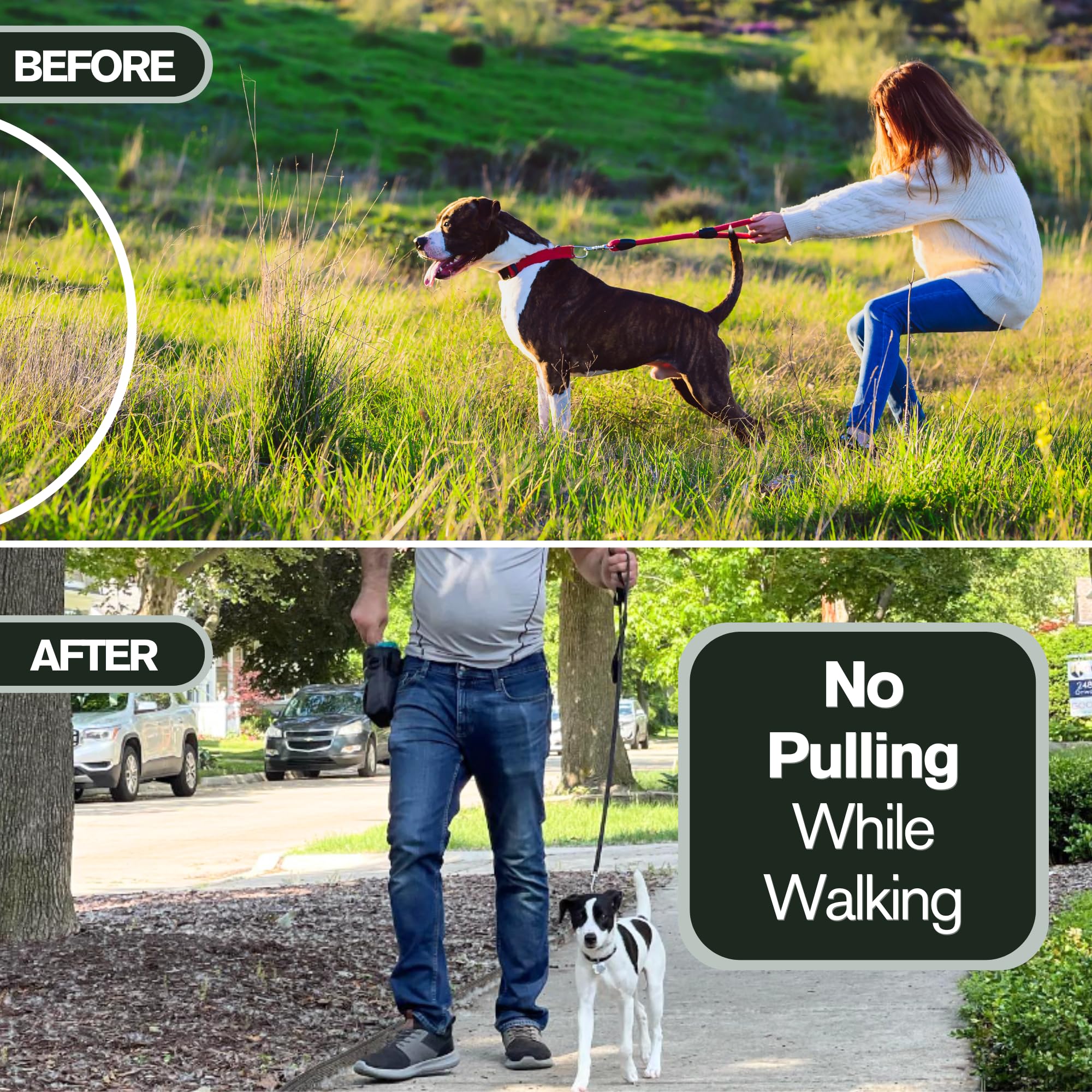 Kimberland Collars Clasp 2.25mm Stainless Steel Low Pro Dog Training Collar for Medium-Large Breeds | 16β Micro Prong Collar for Dogs 26lbs & Up | No-Pull Collar | Dog/Puppy Training & Behavior Aid