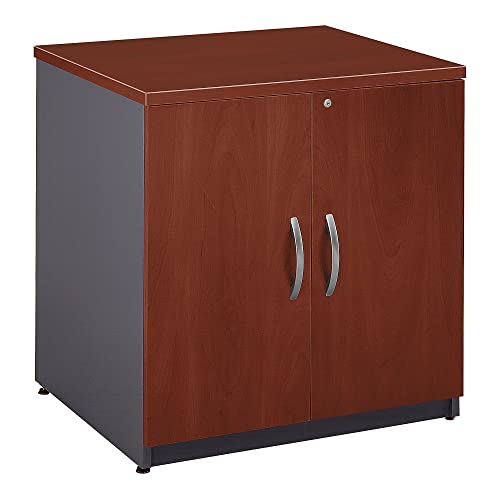 Two Door Storage Cabinet Hansen Cherry/Graphite Gray