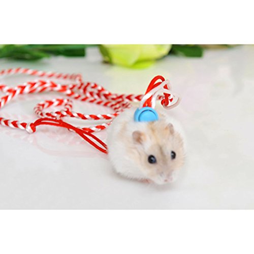 UEETEK Adjustable Hamster Harness Leash and Collar Walking for Hamster Cricetulu Rat Mouse Squirrel Small Pets Flexible Handle Rope 2M (Random Color)