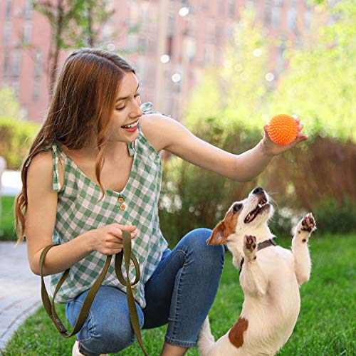 Rachael Ray Nutrish Little Bites Dry Dog Food, Chicken & Veggies Recipe for Small Breeds, 14 Pounds