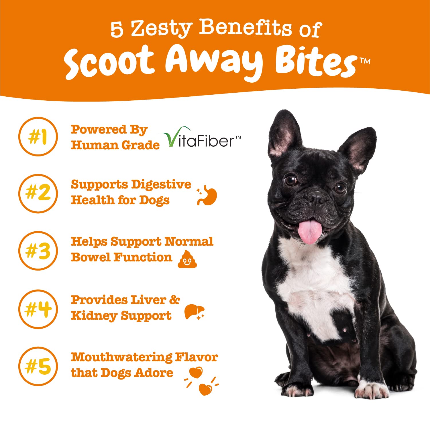 Cranberry Soft Chews for Dogs - Kidney, Bladder & Urinary Tract Wellness Supplement + Scoot Away Soft Chews for Dogs - with Bromelain