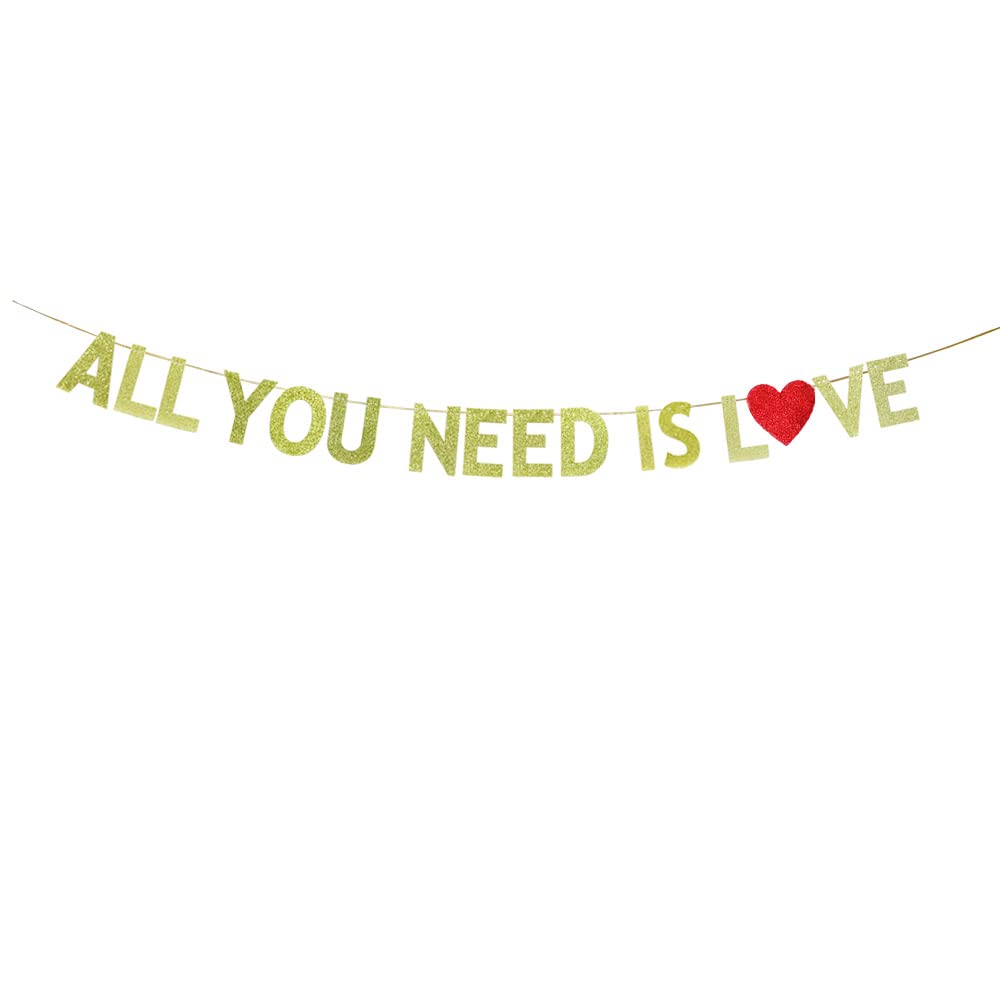 TENNYCHAOR All You Need is Love Paper Banner,Fun Engagement/Wedding/Bridal Shower/Anniversary Party Bunting Decoration Supplies.