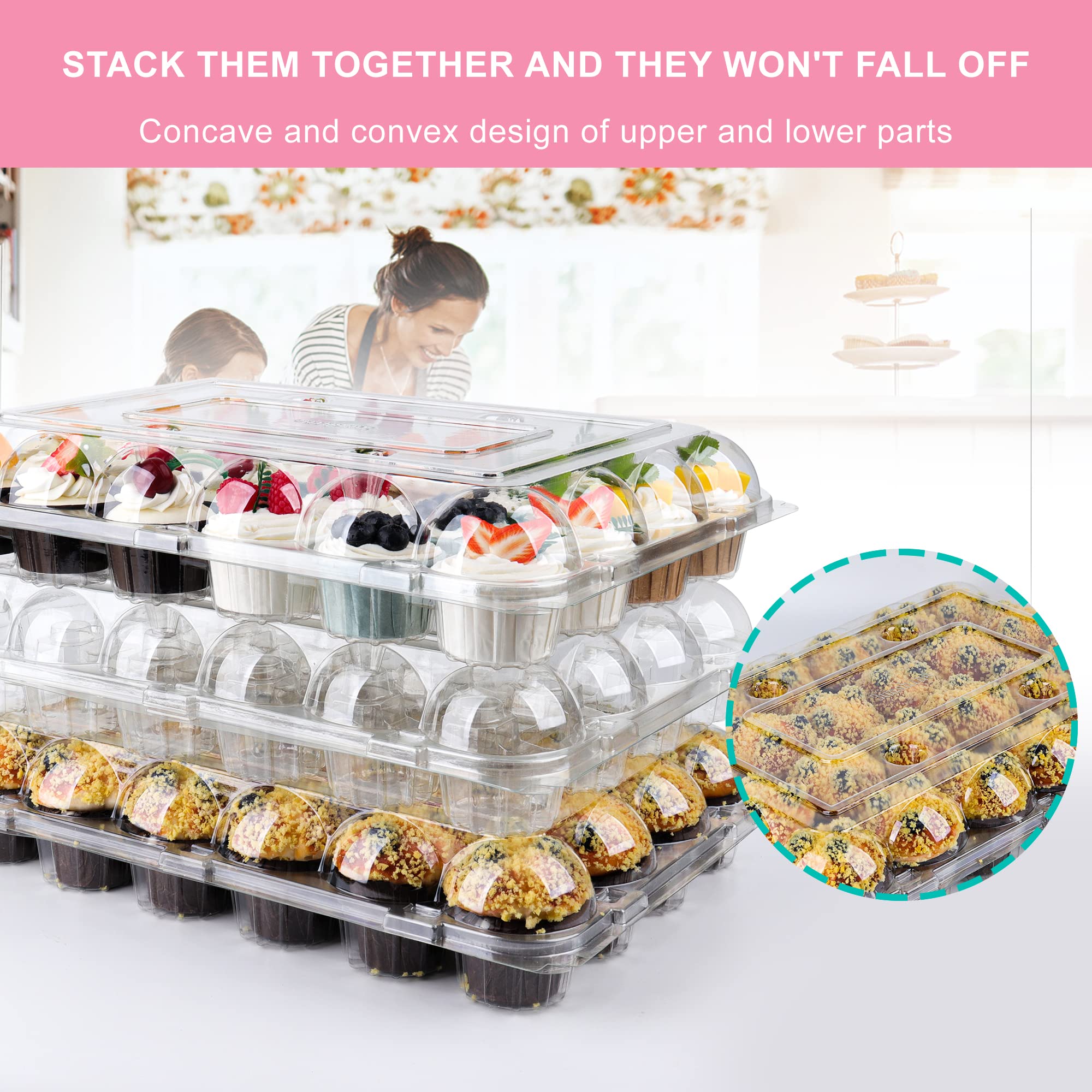 AUKUS (24 packs X 10 sets Mini Cupcake Containers, Cupcake Carrier Holders,Deep Dome, Transparent Disposable with 240 Pack Cupcake liners and 15 forks