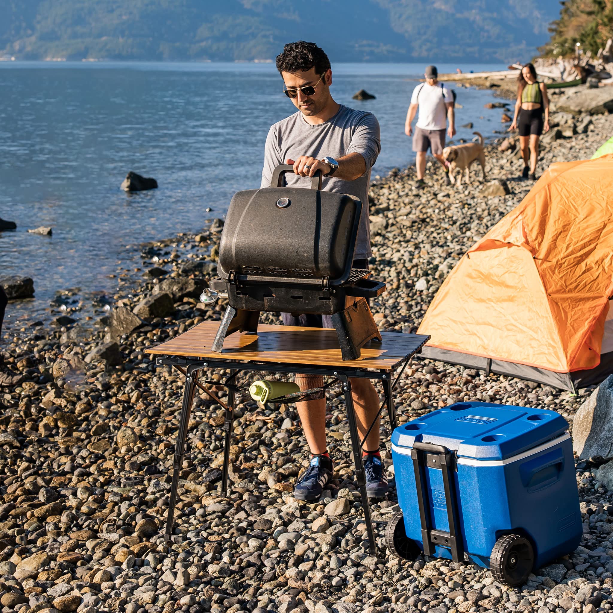 BALTORO Portable Folding Table for Picnic, Camping Tables That Fold up Lightweight, Aluminum Folding Table with Telescopic Legs, Camp Kitchen Table for Beach Trips and Outdoor Parties