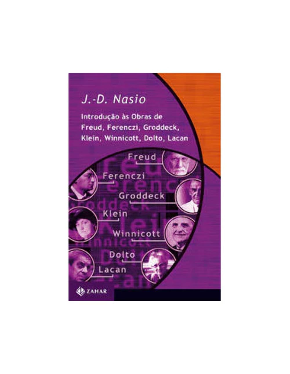 Introdução Às Obras De Freud, Ferenczi, Groddeck, Klein, Winnicott, Dolto, Lacan. Coleção Transmissão da Psicanálise (Em Portuguese do Brasil)