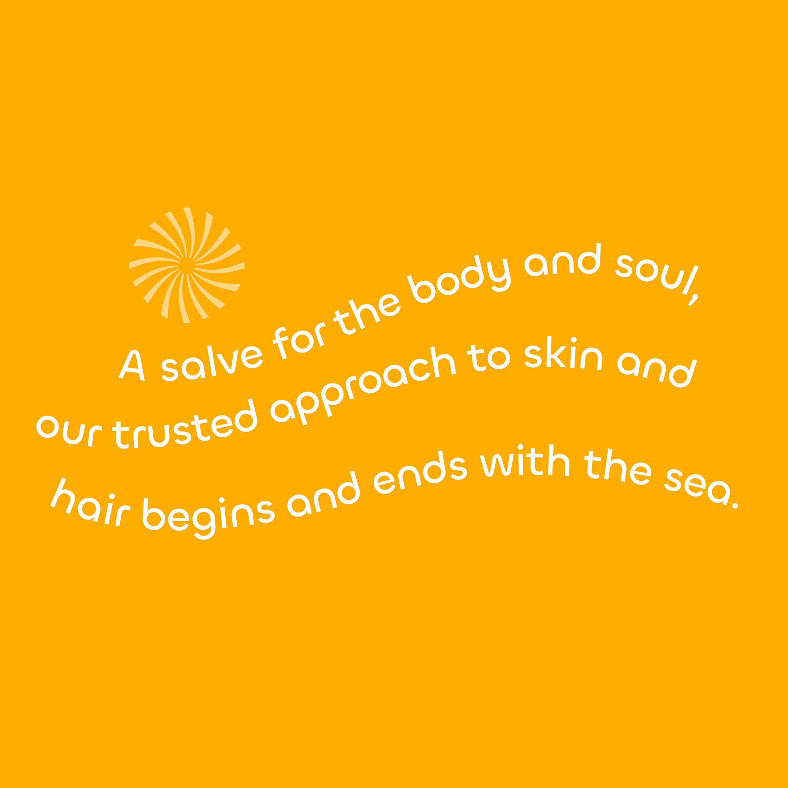Seaweed Bath Co. Smooth Shampoo, Citrus Vanilla Scent, 12 Ounce, Sustainably Harvested Seaweed, Borage and Broccoli Seed Oils, For Curly and Frizzy Fine Hair