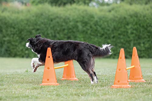 TRIXIE Dog Agility Hurdle Cone Set, Portable Canine Agility Training Set, 6 Exercise Cones with 3 Agility Rods