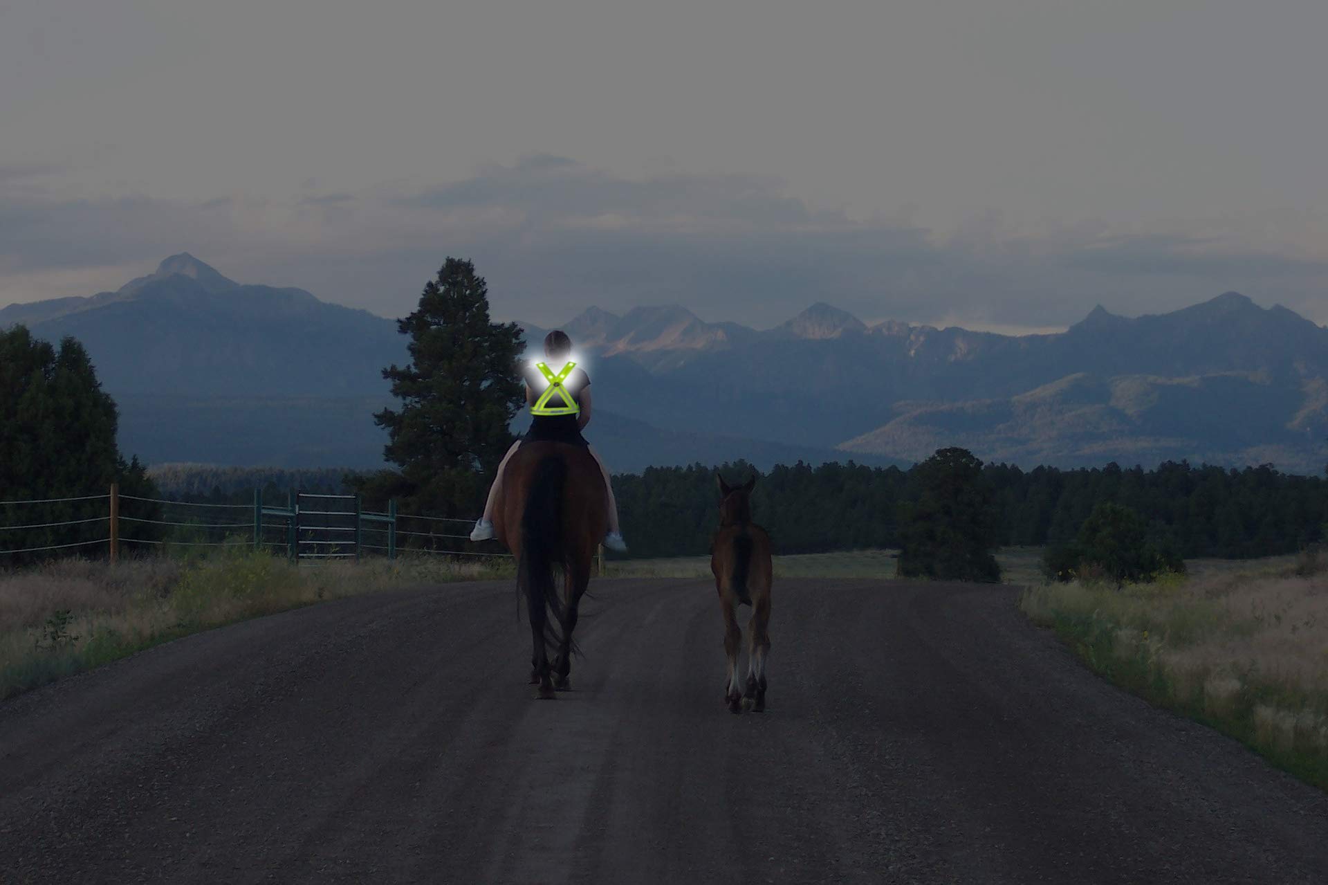 Atlecko 360° Rechargeable LED Running, Cycling, Hiking Reflective Vest & Belt for Men, Women & Kids - Safe & Comfortable - Bright Lights for High Visibility, Excellent Battery Life, Perfect for Night