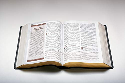 Every Man's Bible: New Living Translation, Large Print, TuTone (LeatherLike, Brown/Tan) β Study Bible for Men with Study Notes, Book Introductions, and 44 Charts