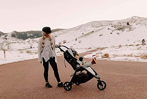 Baby Jogger City Mini GT2 Stroller, Ember