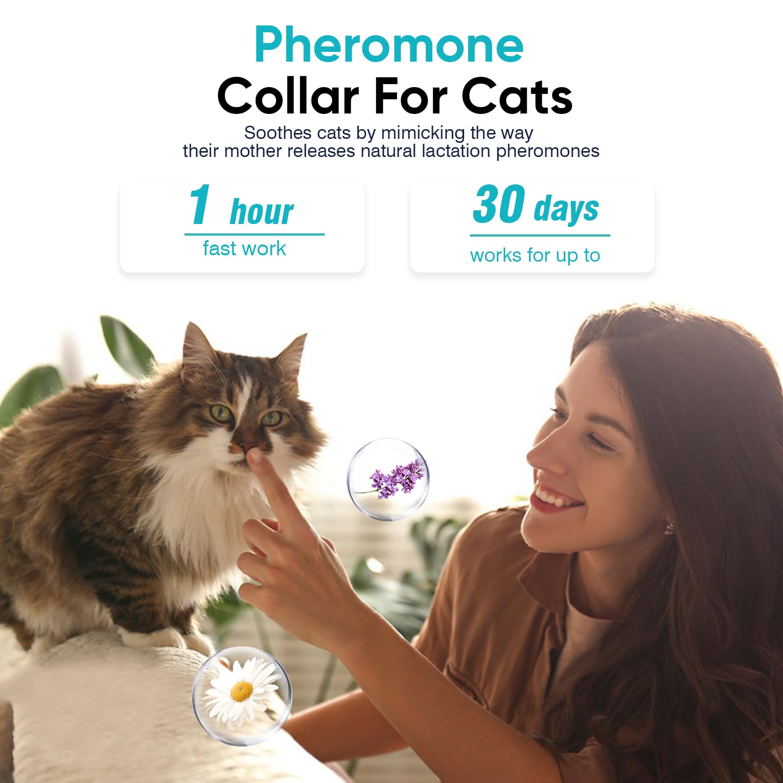 Calming Collar for Cats Cat Pheromone Calming Collar Stress and Anxiety Relief Lasts 30 Days Calm Collar Cat Adjustable Appeasing Calming Collar for Kitten Kitty Calm Collar Make Cat Relaxed 6 Pack