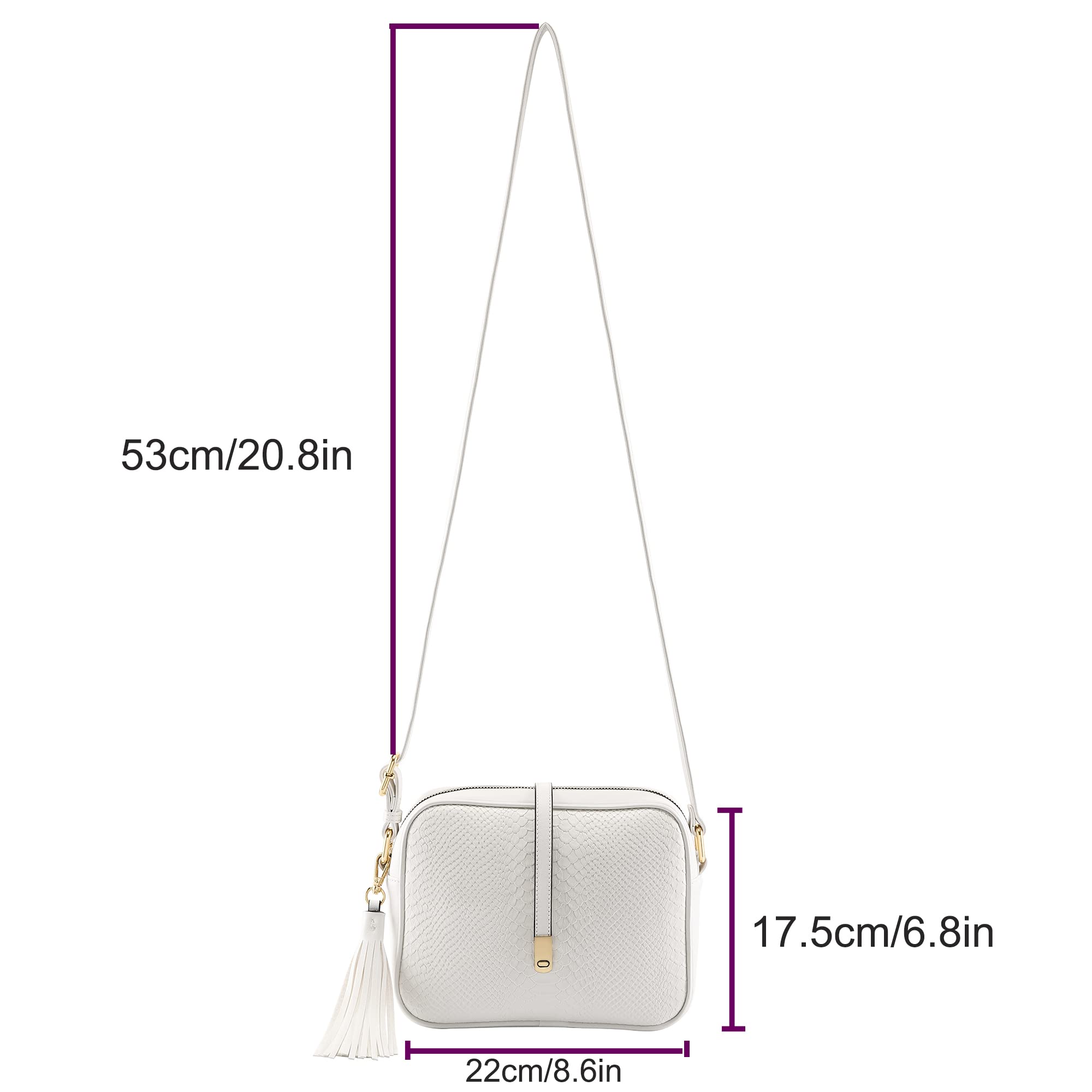Ayliss Women Small Crossbody Handbag PU Leather Shoulder Purse Evening Bag with Tassel (Black)