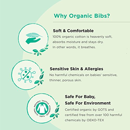 KiddyStar Premium Organic Cotton Toddler Bib, 5-pack Extra Large Baby Bibs, Baby Shower Item for Feeding, Drooling, Teething (Dinos & Whales)