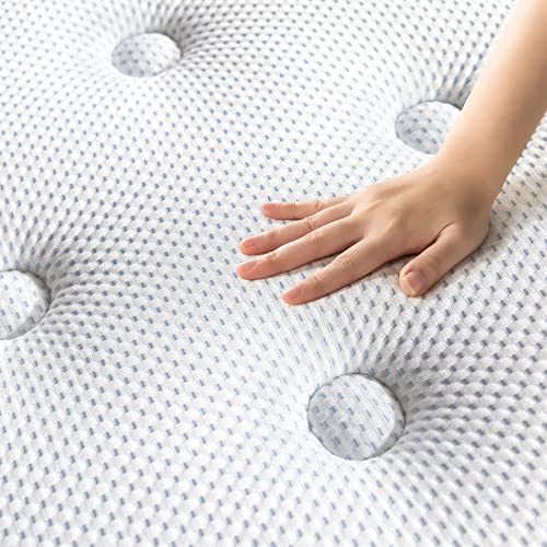 ZINUS 10 Inch Green Tea Cooling Gel Memory Foam HybridMattress / Pocket Innersprings for Motion Isolation / Edge Support, Queen, White