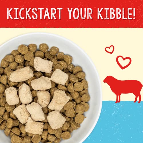 Stella & Chewy’s Freeze Dried Raw Dandy Lamb Meal Mixer – Dog Food Topper for Small & Large Breeds – Grain Free, Protein Rich Recipe – 3.5 oz Bag