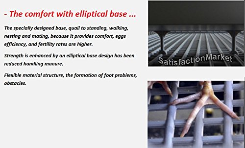 Quail Cage Two Compartment, The Patented Design, First in The World, Professional Quail Egg cage