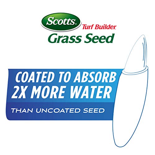 Scotts Turf Builder Grass Seed Argentine Bahiagrass, Excellent Heat & Drought Resistance, 5 lbs.