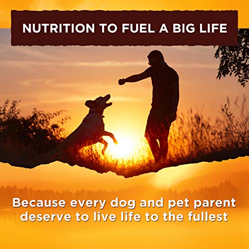 Nature's Recipe Grain Free Wet Dog Food, Chicken & Venison Stew Recipe, 10 Ounce Can (Pack of 12)