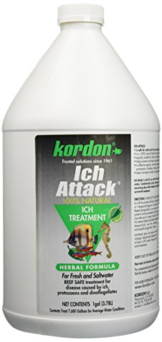 KORDON Ich-Attack Disease Inhibitor: Treats for Ich & External Fish Diseases, 100% Organic Herbal Treatment for Fresh & Saltwater, Safe for Invertebrates, Made in the USA, 1 gallon