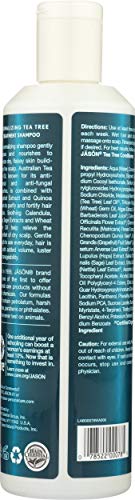Jason Natural Cosmetics Tea Tree Oil Shampoo, 17.5 oz