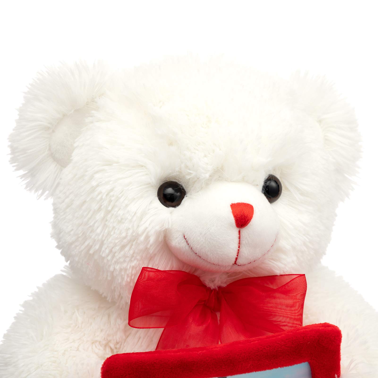 HollyHOME Teddy Bear Stuffed Animal Plush Bear with Red Bow Holding a Picture Frame Soft Plush Toy Christmas Valentine's Day Gift 12 Inches White